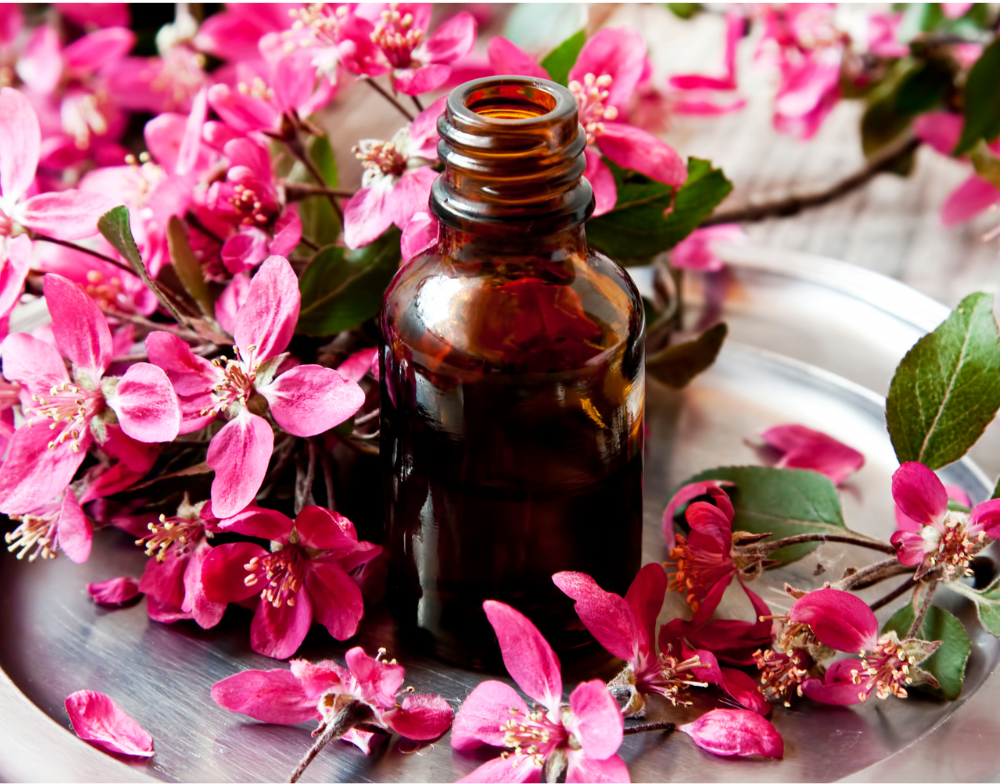 In Person: Intro to Flower Essences with Guided Formulation — July 19t ...