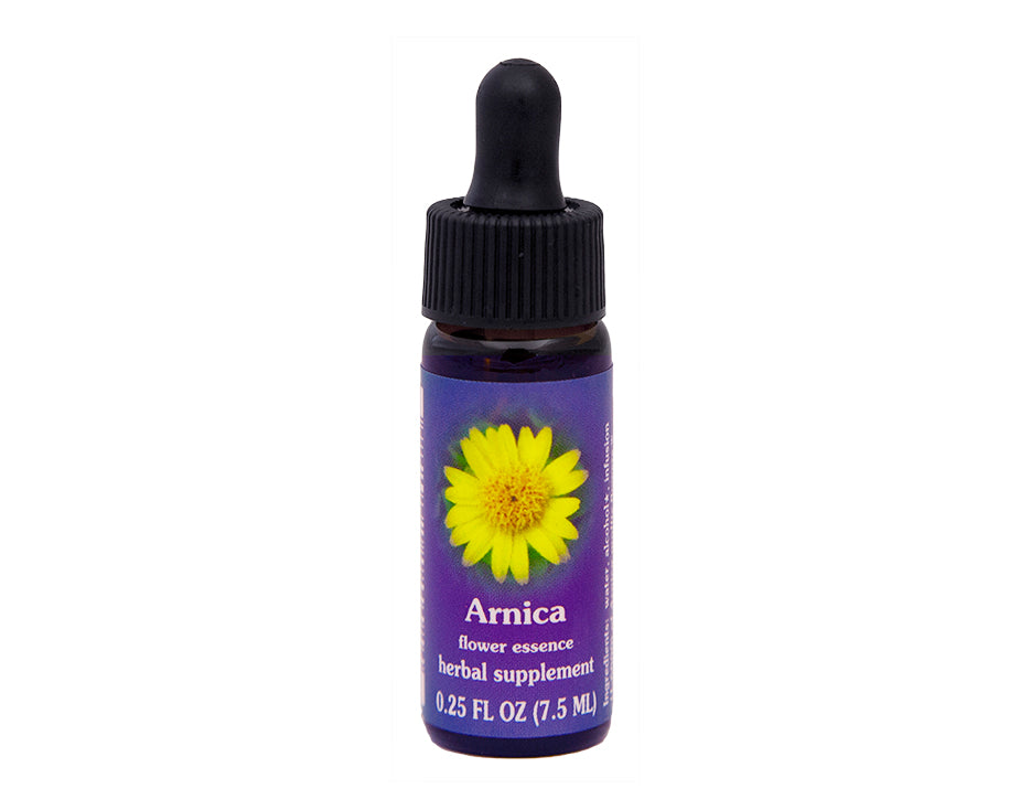 Arnica Flower Essence – Rebecca's Herbal Apothecary