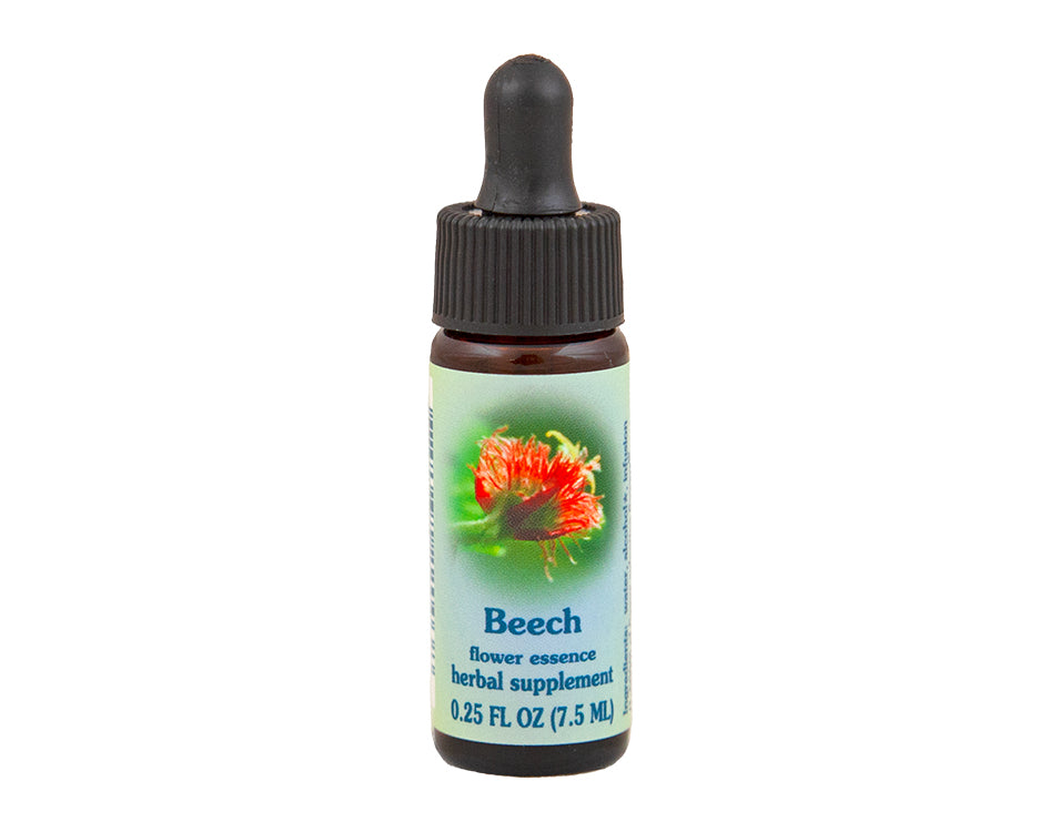Beech Flower Essence – Rebecca's Herbal Apothecary