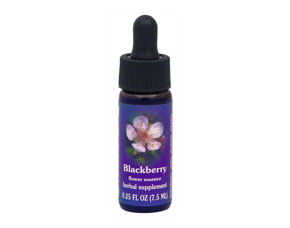 Blackberry Flower Essence – Rebecca's Herbal Apothecary