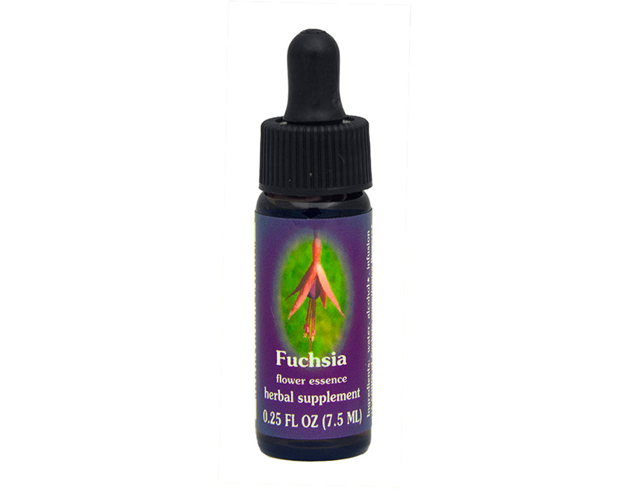 Fuchsia Flower Essence – Rebecca's Herbal Apothecary