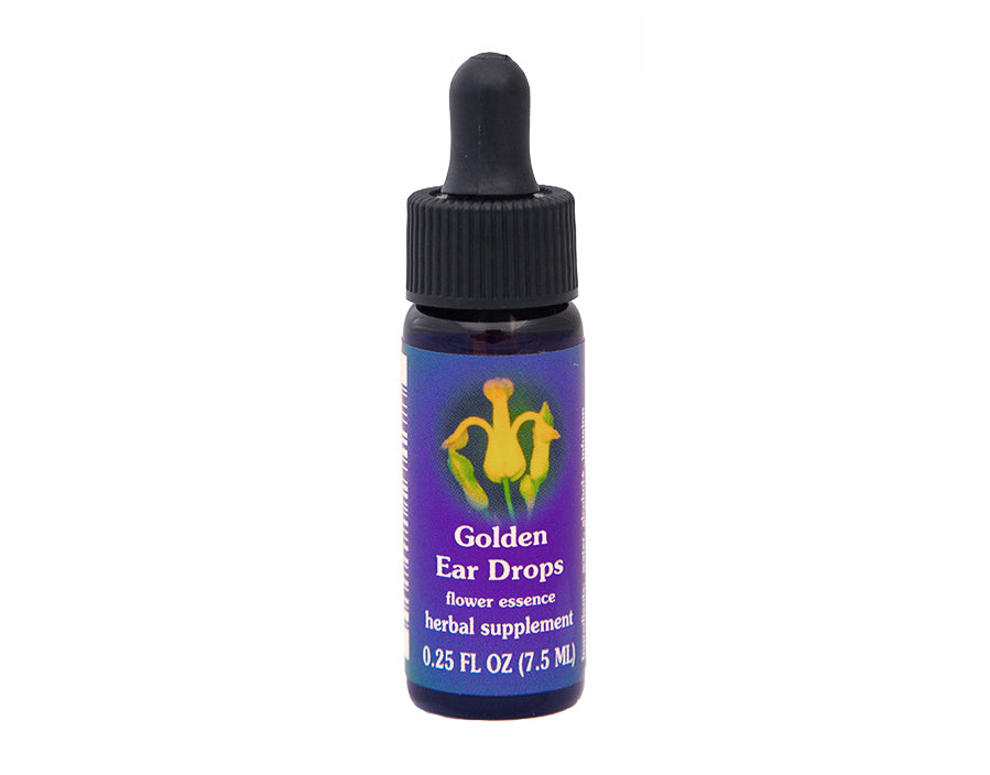 Golden Ear Drops Flower Essence – Rebecca's Herbal Apothecary
