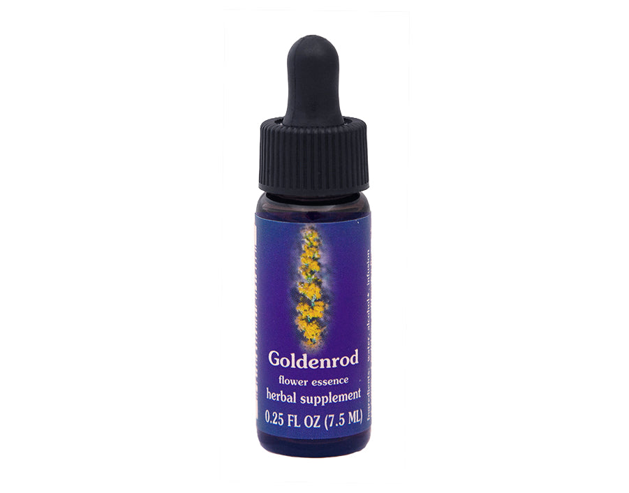 Goldenrod Flower Essence – Rebecca's Herbal Apothecary