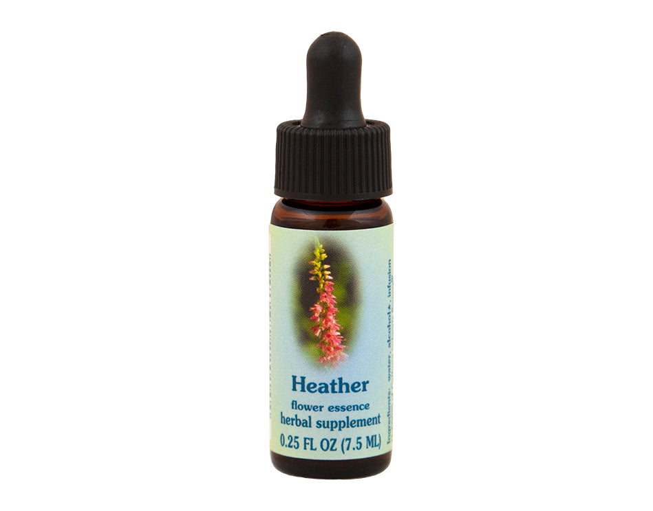 Heather Flower Essence – Rebecca's Herbal Apothecary