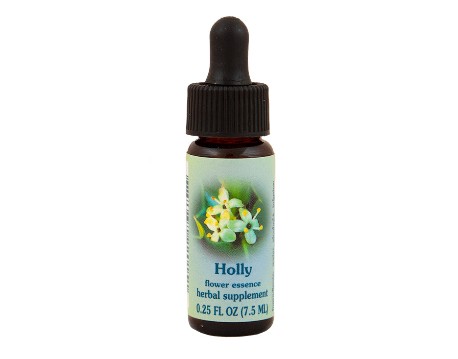 Holly Flower Essence – Rebecca's Herbal Apothecary