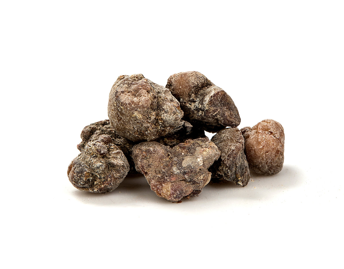 Pinon Pine Resin – Rebecca's Herbal Apothecary