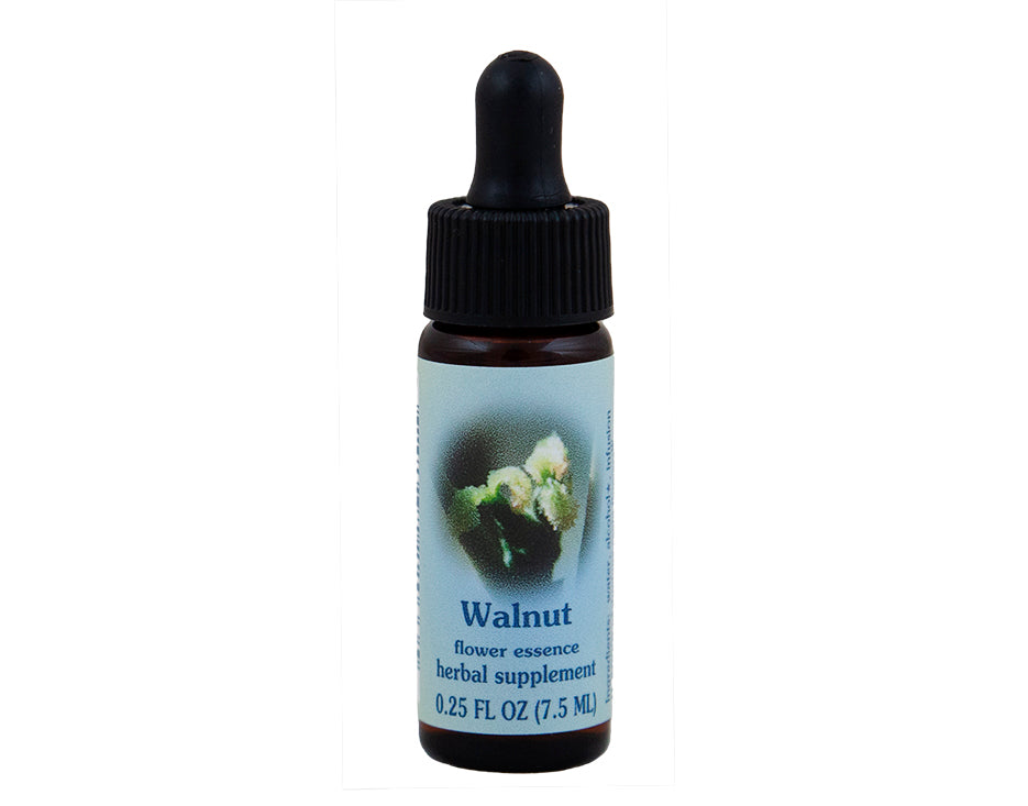 Walnut Flower Essence – Rebecca's Herbal Apothecary