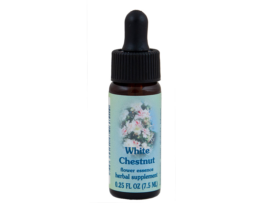 White Chestnut Flower Essence – Rebecca's Herbal Apothecary