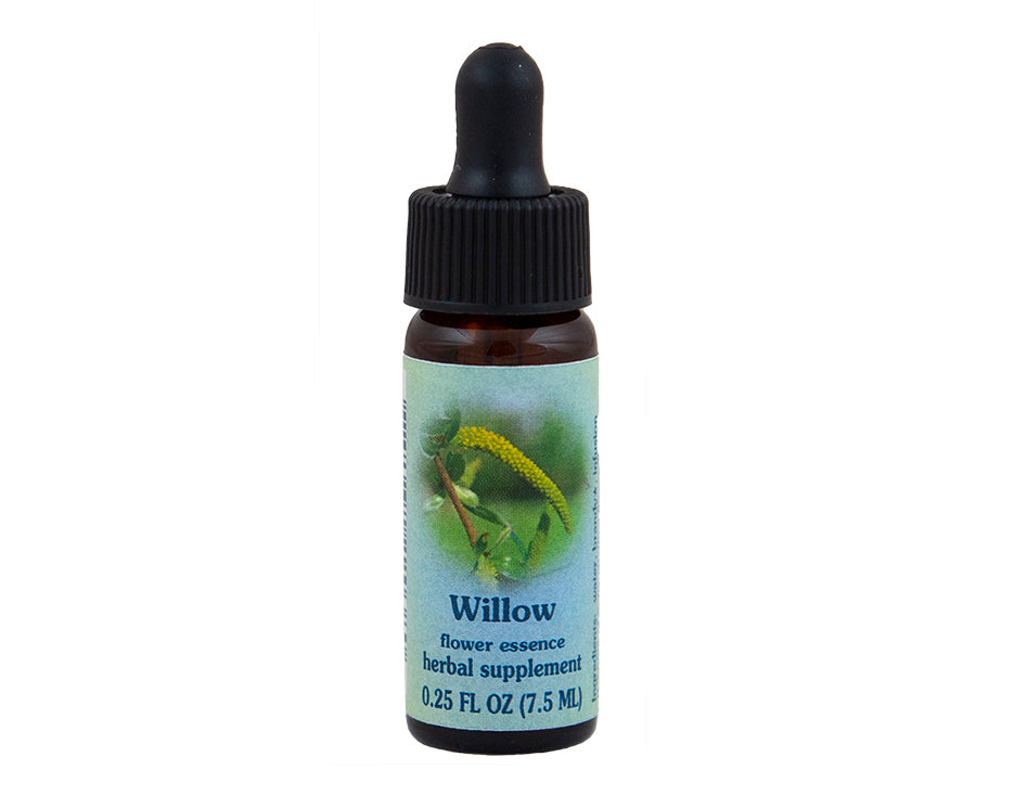 Willow Flower Essence – Rebecca's Herbal Apothecary