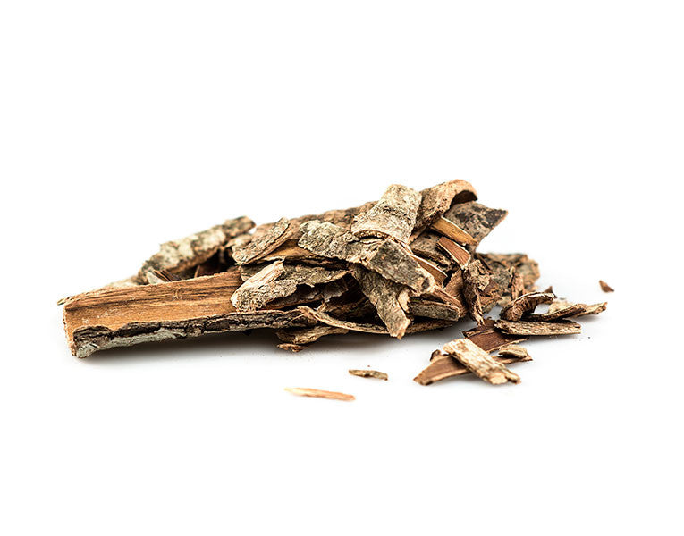 Witch Hazel Bark – Rebecca's Herbal Apothecary
